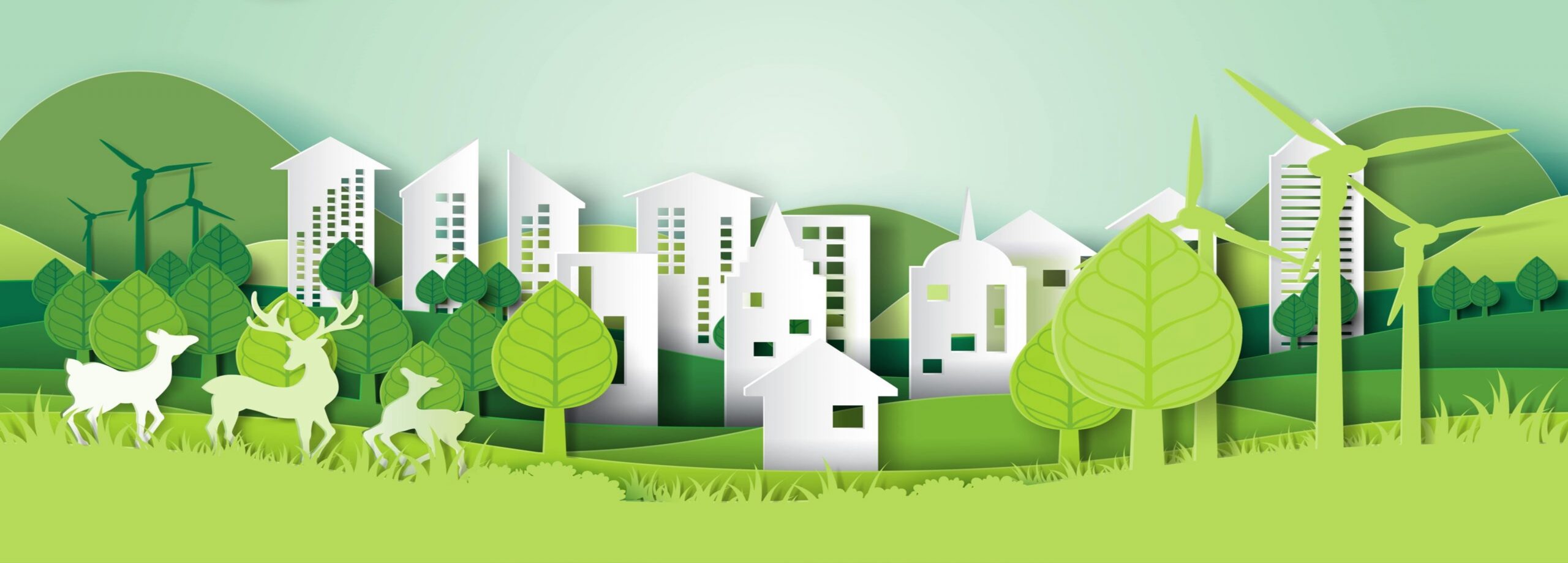 FDRC - || Ecocare