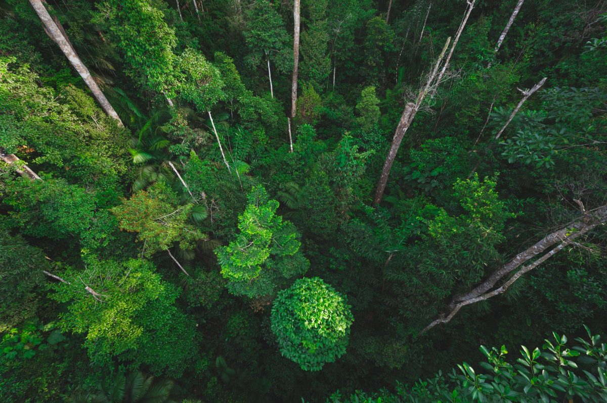 Homepage - || Ecocare